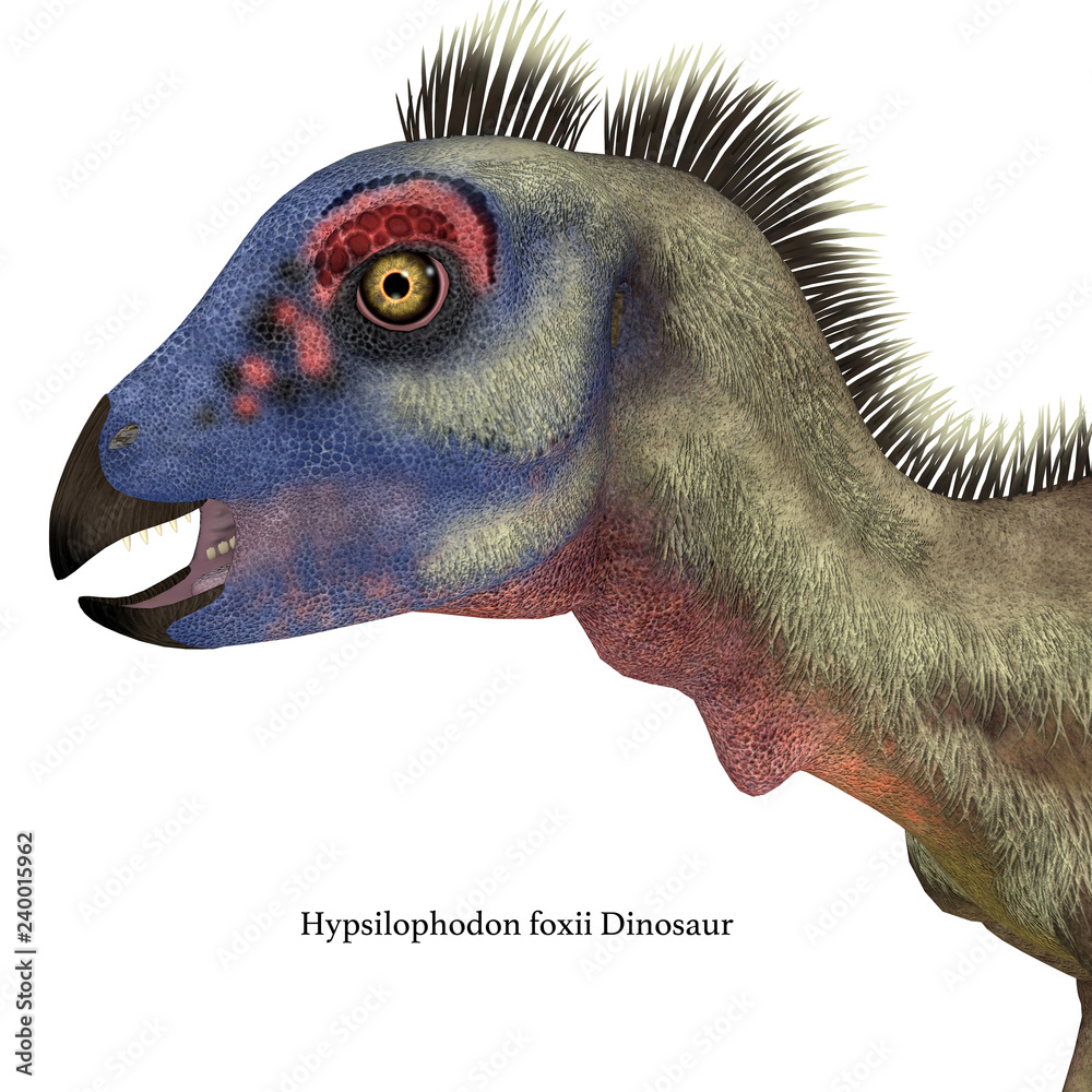 Hypsilophodon Dinosaur Head with Font - Hypsilophodon was a omnivorous ...