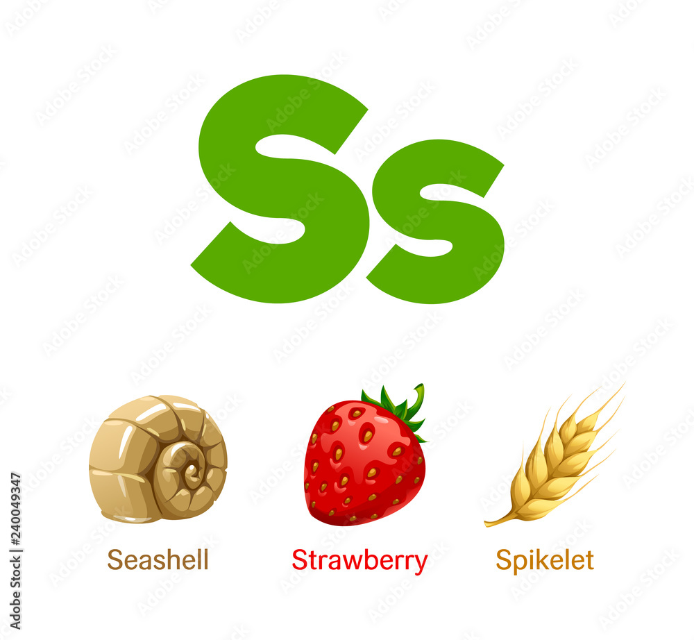 Cute children ABC animal alphabet flashcard words with the letter S for ...