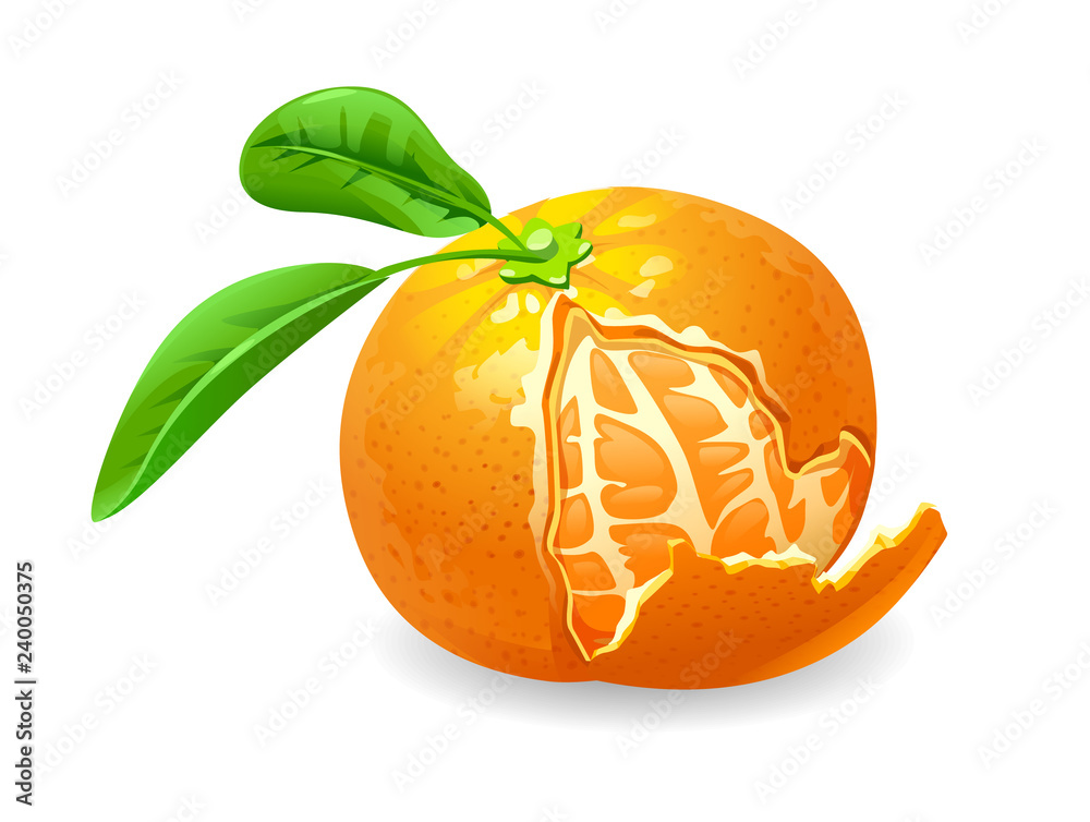 cartoon vector of a mandarin orange Stock Vector | Adobe Stock