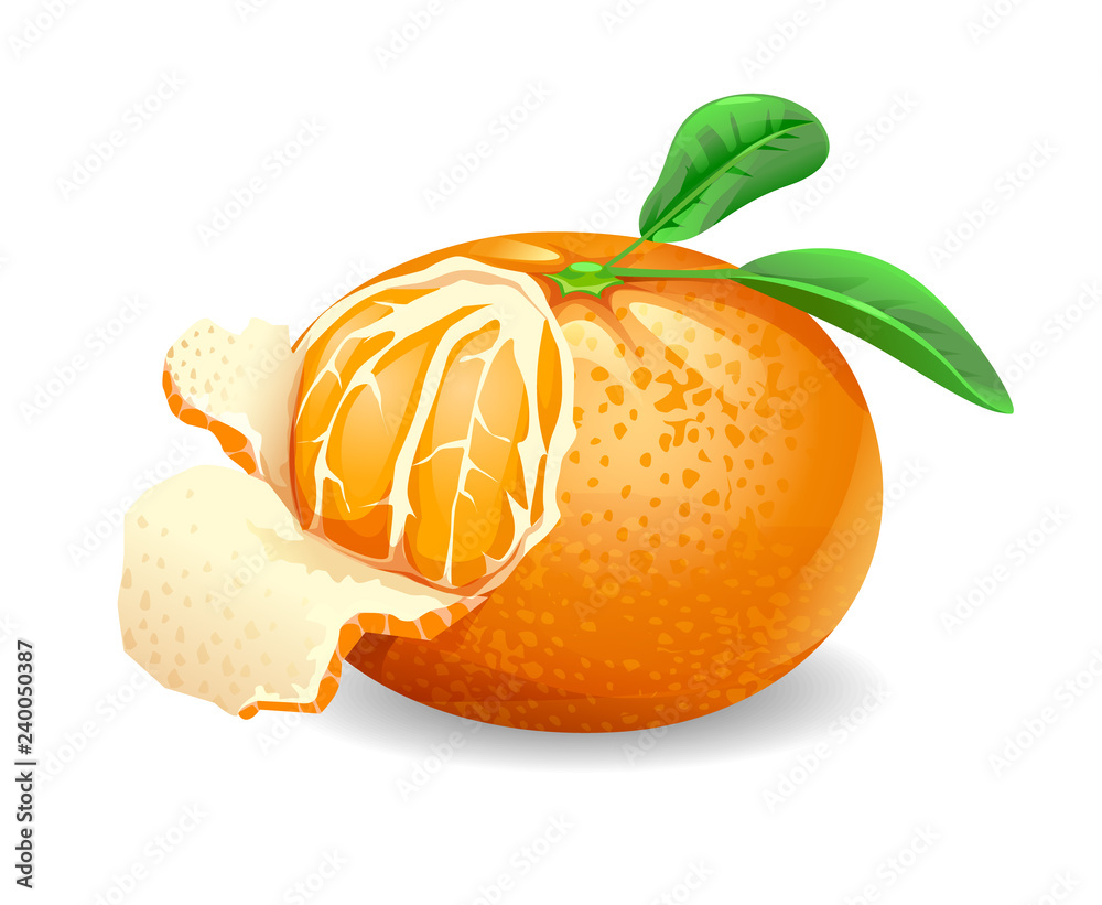 cartoon vector of a mandarin orange Stock Vector | Adobe Stock