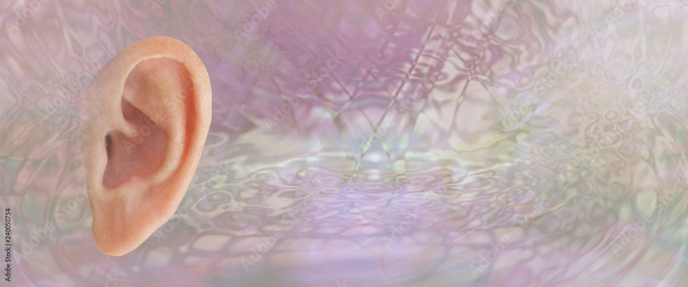 Ear Anatomy background banner - cut out of a single female side view ...