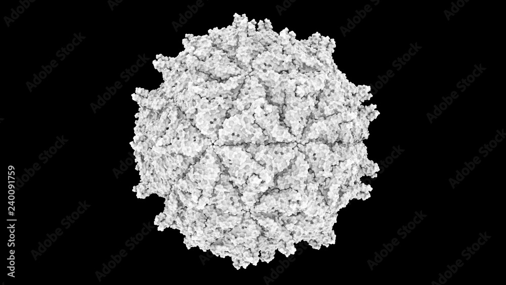 3D CG rendered image of scientifically accurate Nodamura Virus ...