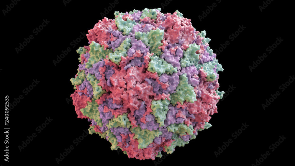 Poliovirus 3d Model