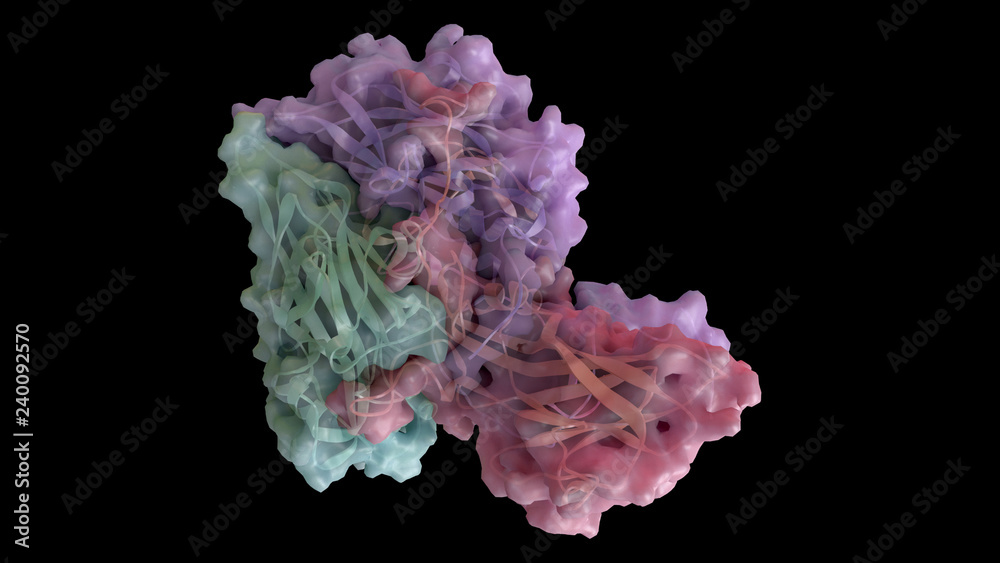 3D CG rendered image of scientifically accurate Human Rhino Virus ...