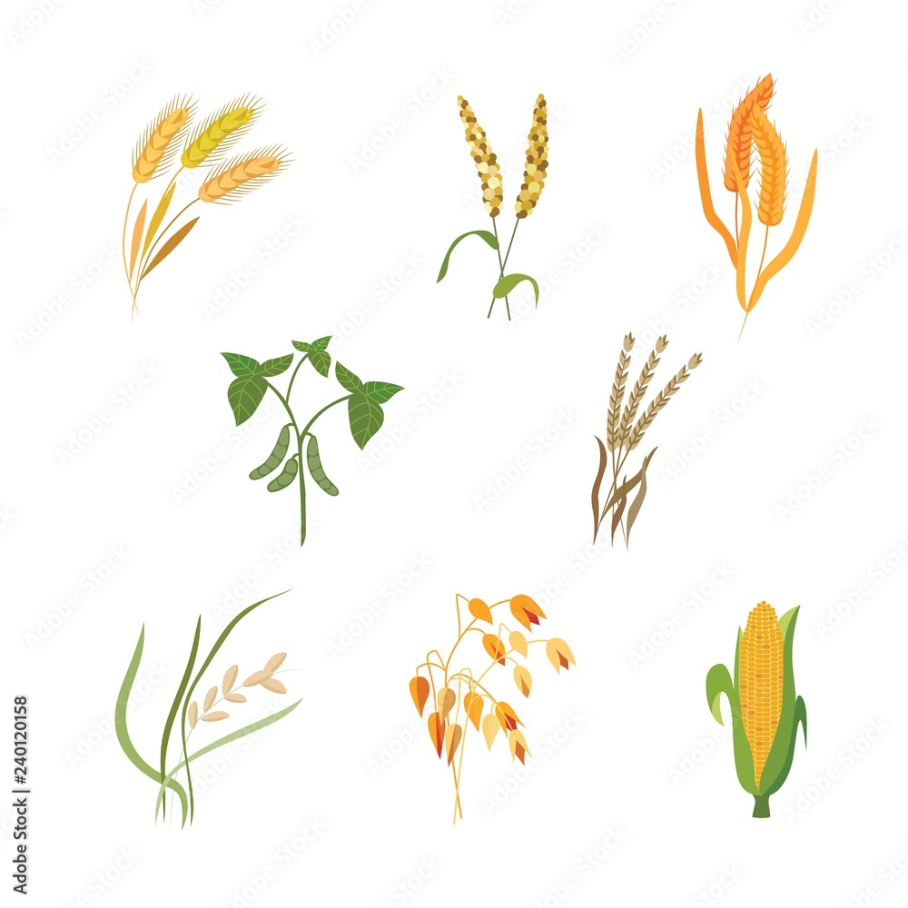 Farming Crops Drawings