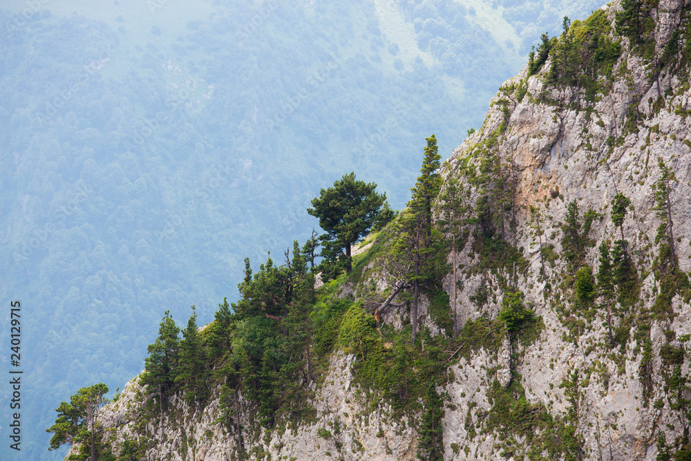 Lago-Naki (Lagonaki, Lagonaki plateau) - plateau in the Western ...