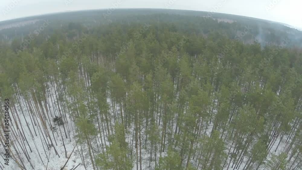 Vidéo Stock A fire is burning in the winter forest. Video from a ...