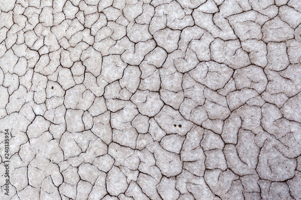 Gray dry soil or cracked ground texture background. Takyr Stock Photo ...