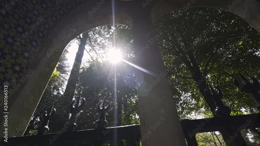 From below sunshine through woods and constructions of small mosque in ...