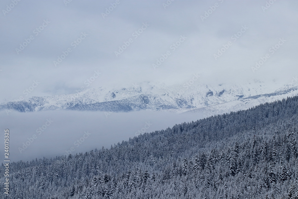 snowland Stock Photo | Adobe Stock