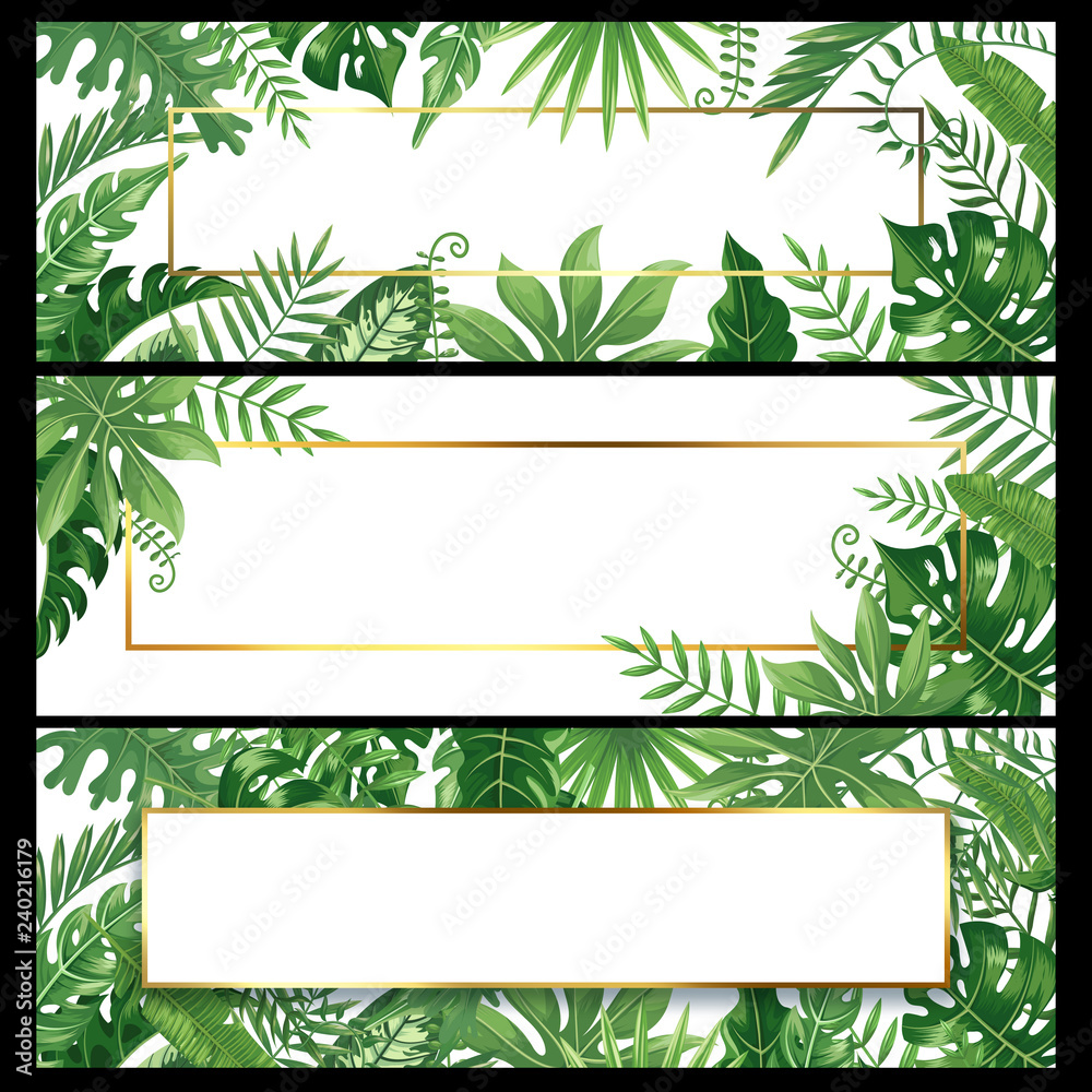 Tropical leaves banners. Exotic palm leaf banner, natural coconut palms ...