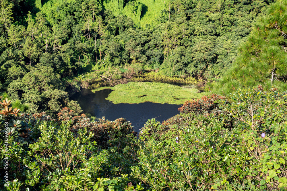 The Trou Aux Cerf volcano crater in Curepipe, Mauritius. Stock Photo ...