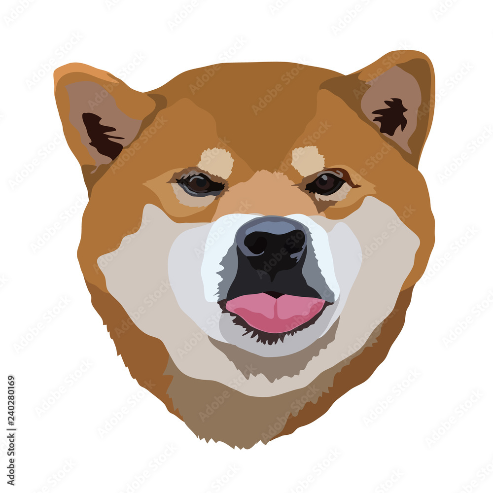 Akita Inu Head Vector Illustration Stock Vector | Adobe Stock