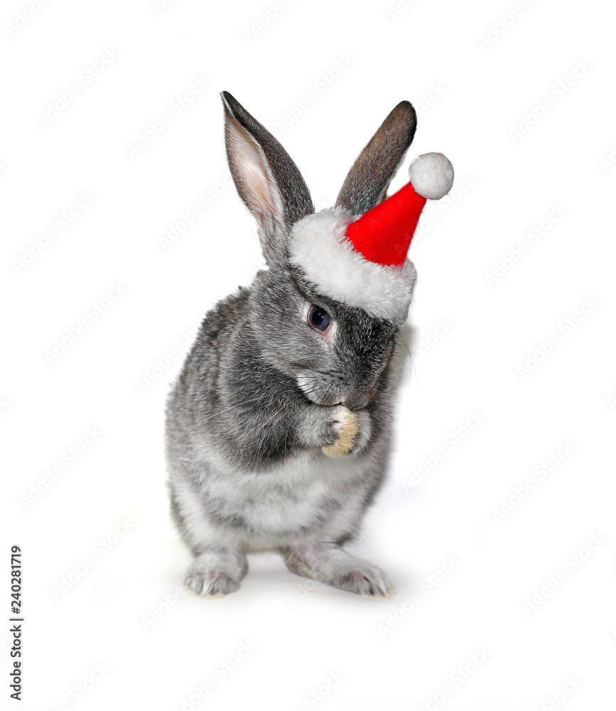 Grey Christmas Rabbit
