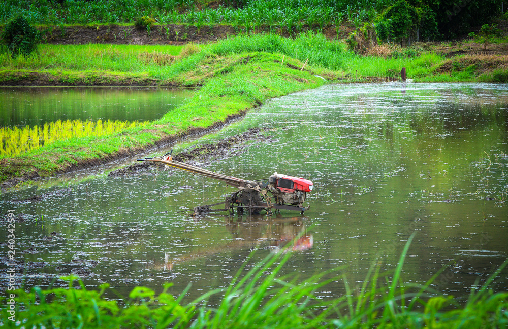 Walking Tractor on rice field for work plow - Plows machine small ...