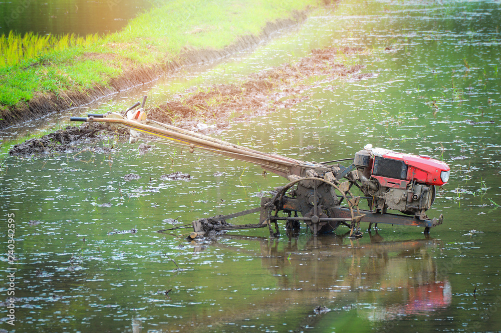 Walking Tractor on rice field for work plow - Plows machine small ...