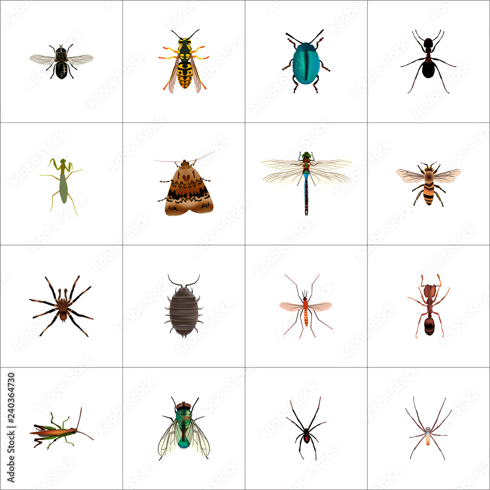 Set of insect realistic symbols with spider, mantis, sting and other ...