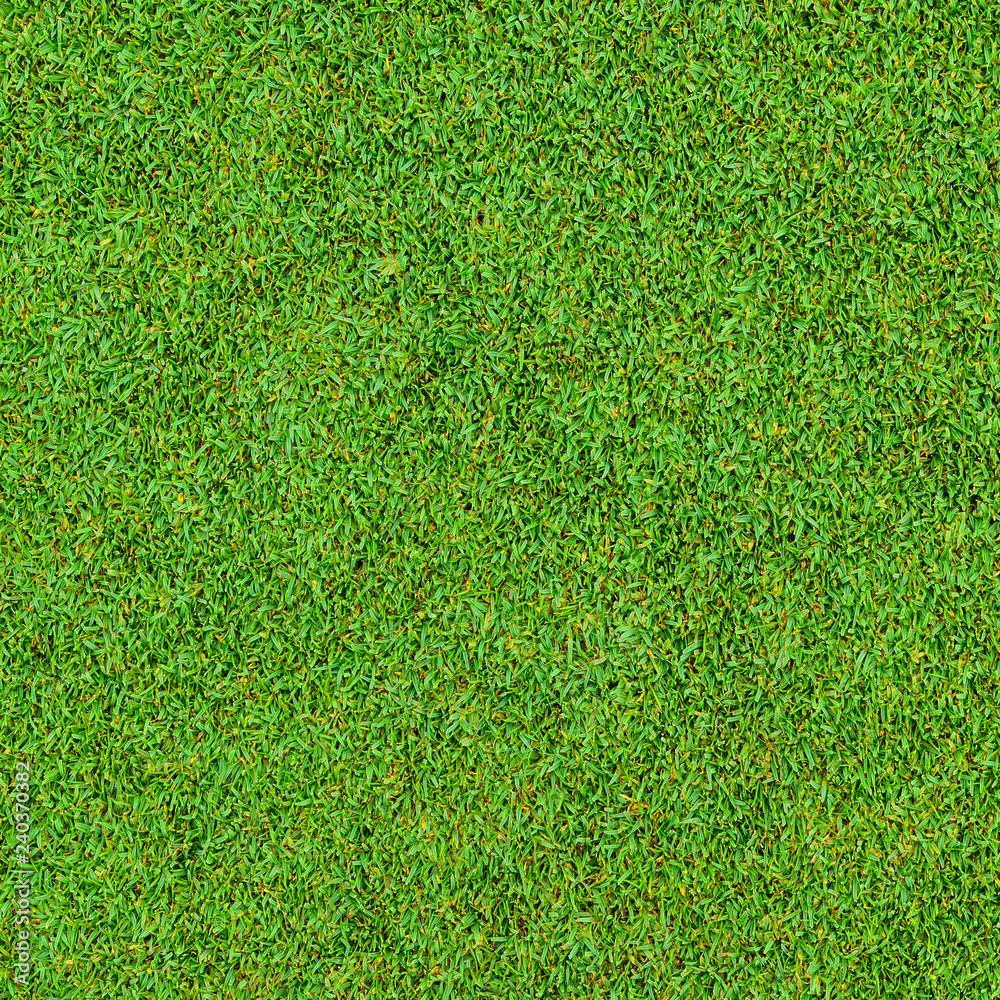 Golf Course Grass Texture