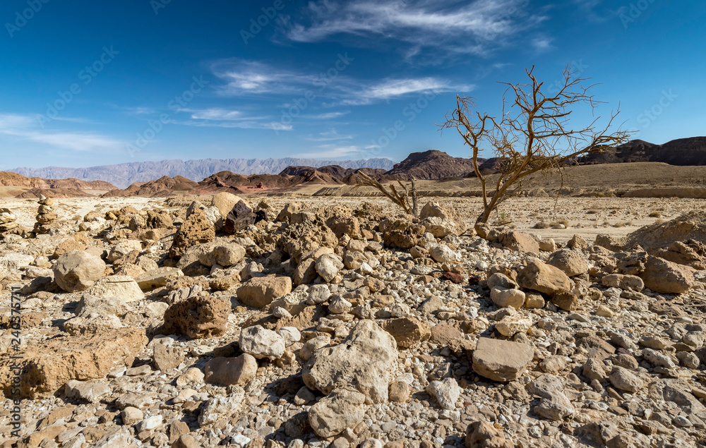 Volcanic landscape in national geological Timna park, Israel. It is ...