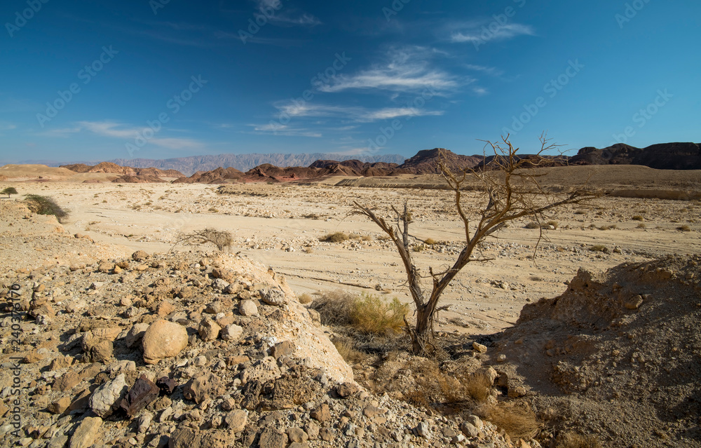 Volcanic landscape in national geological Timna park, Israel. It is ...