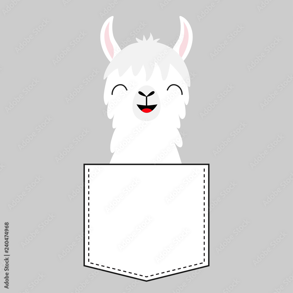 Llama alpaca face head in the pocket. Cute cartoon baby animal. Dash ...