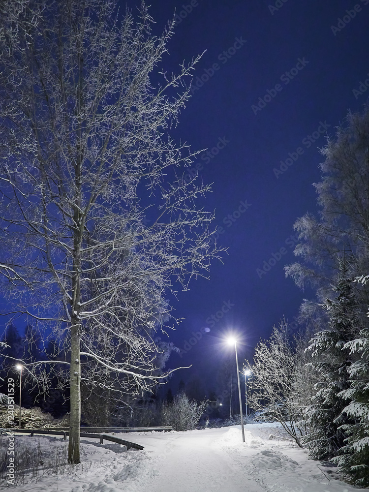 Beautiful Snow Pictures At Night