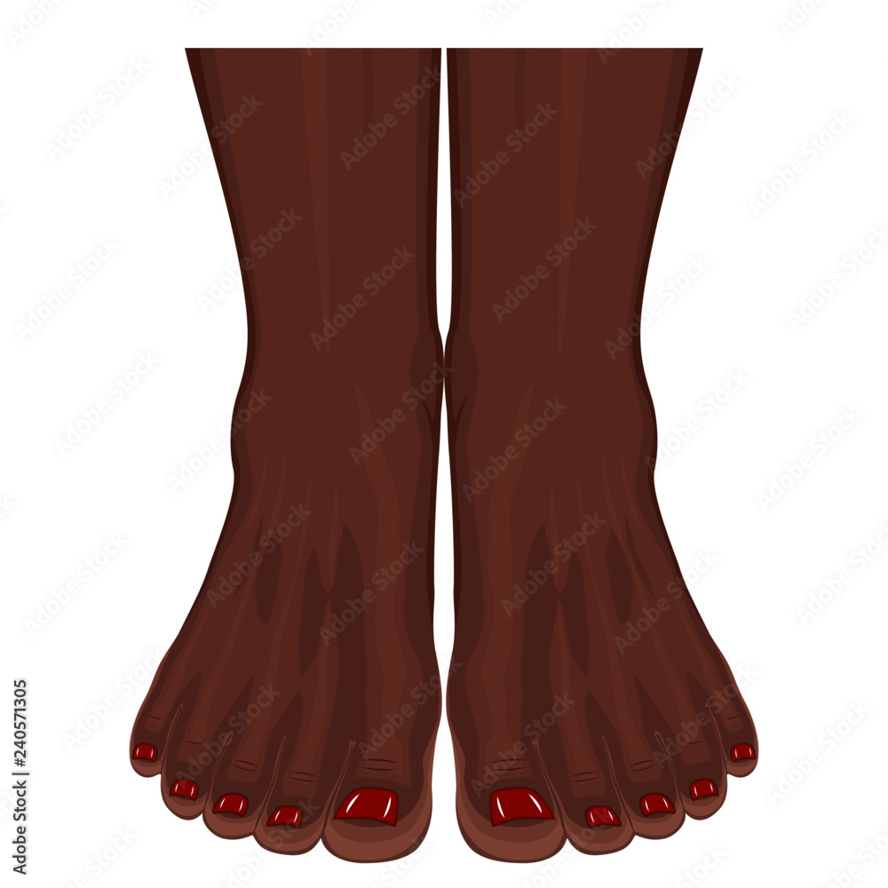 Human Foot Front View