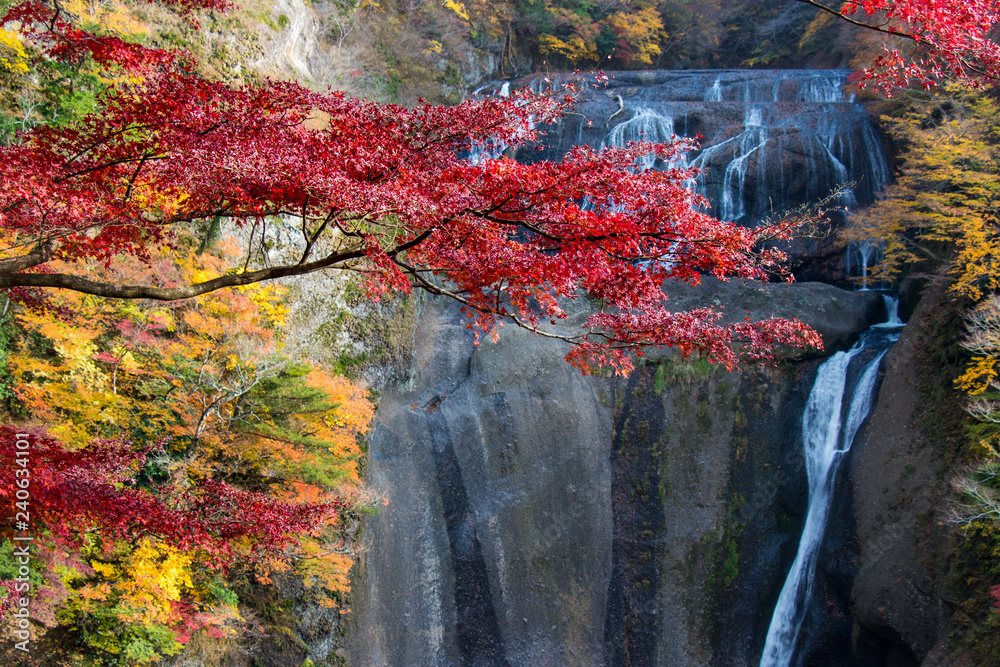 Autumn leaves of Fukuroda Falls in Daigo-cho, Kuji-district, Ibaraki ...