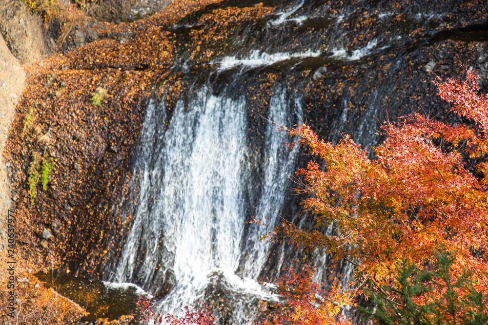 Autumn leaves of Fukuroda Falls in Daigo-cho, Kuji-district, Ibaraki ...