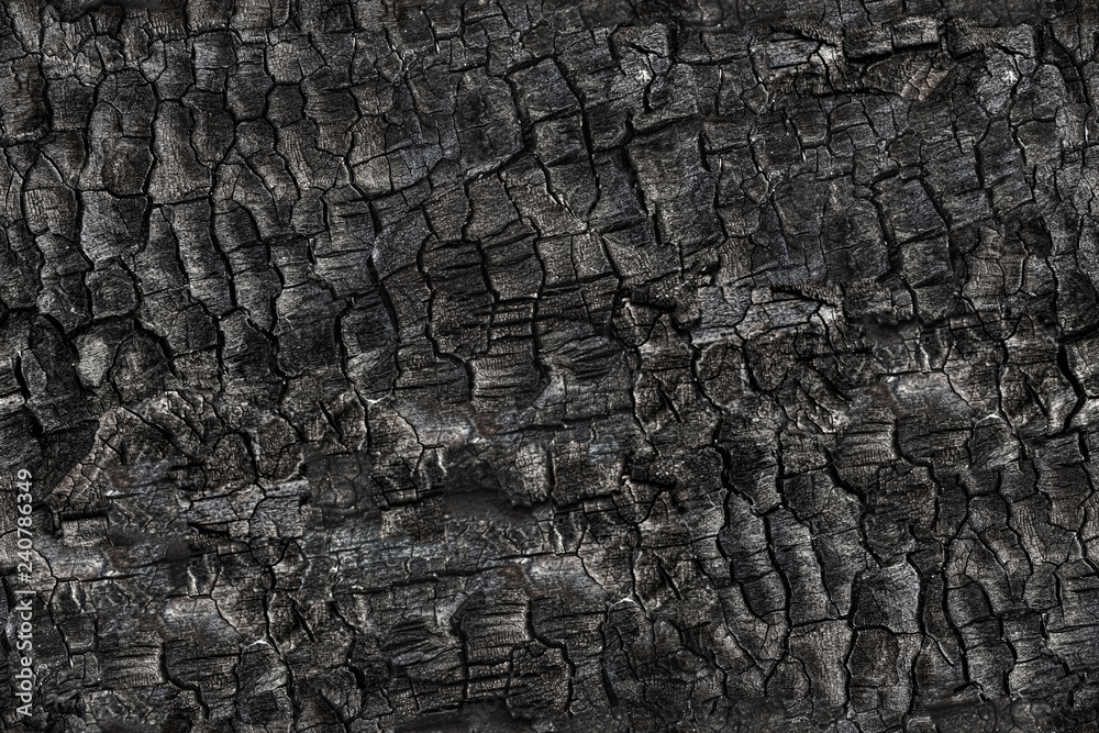Seamless texture of burned tree. Fire consequences. Abstract background ...