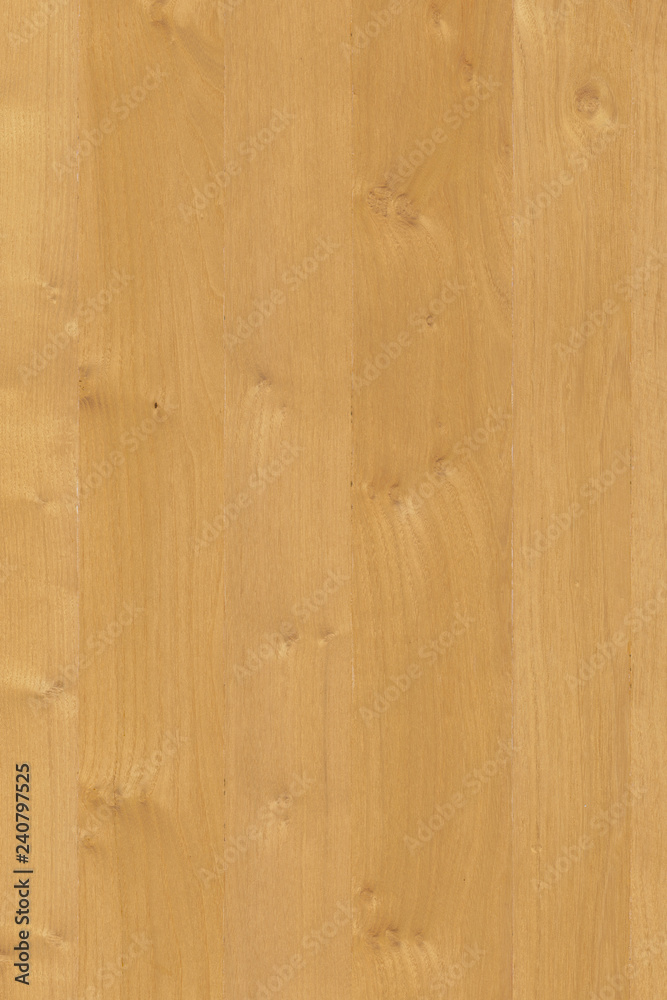oak tree timber wood wallpaper backdrop structure texture background ...