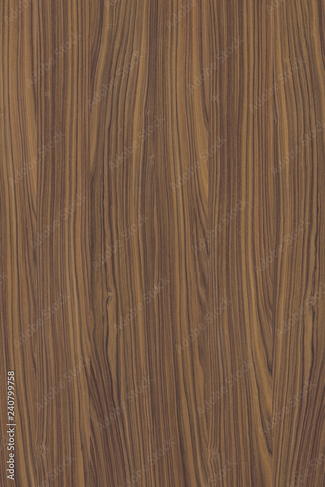 jacaranda timber tree wood grain structure texture background backdrop ...