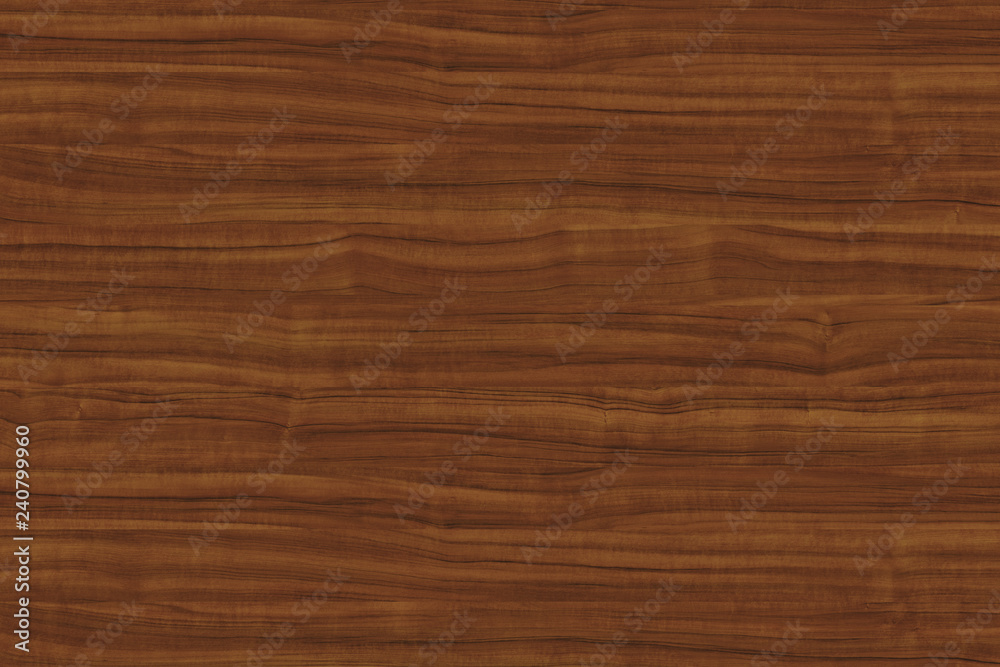jacaranda timber tree wood grain structure texture background backdrop ...