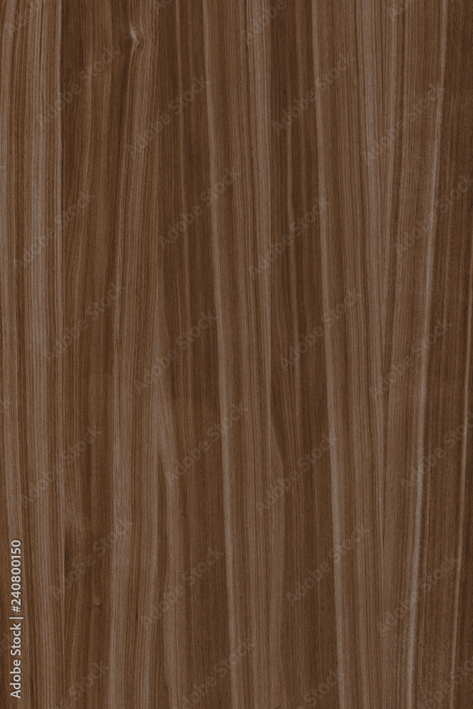 jacaranda timber tree wood grain structure texture background backdrop ...