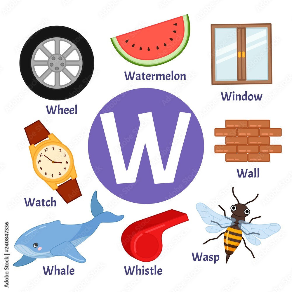 Vector cute kids animal alphabet. Letter W. Set of cute cartoon ...