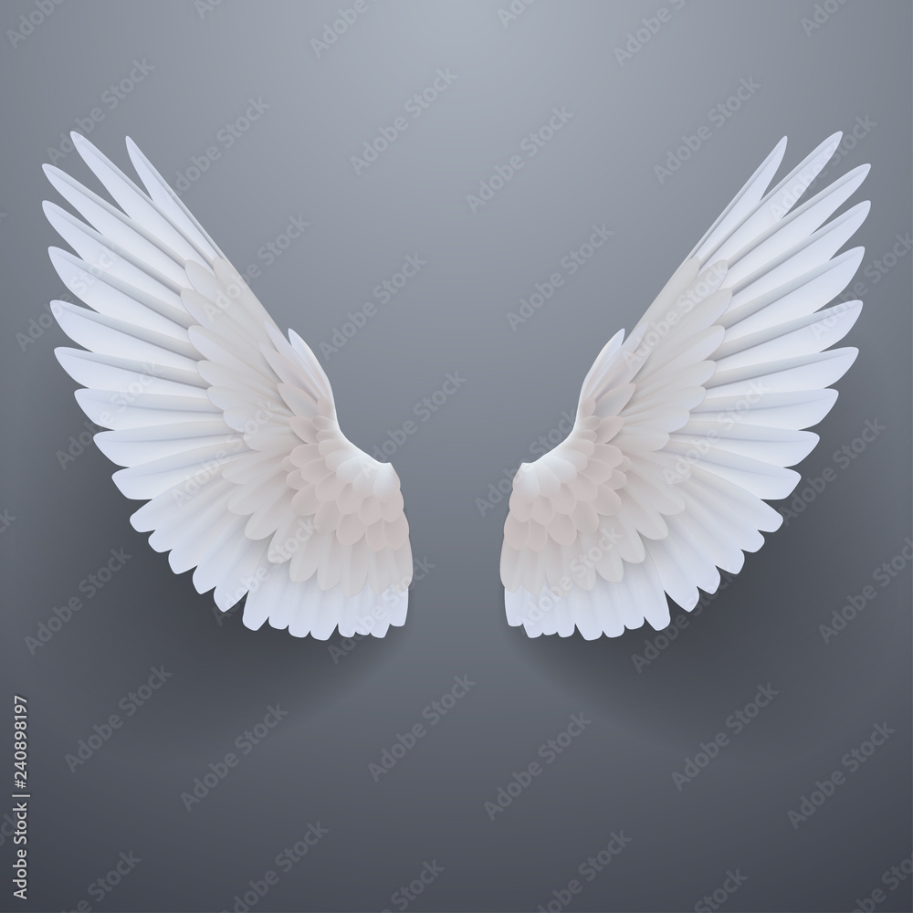 Realistic white wings Stock Vector | Adobe Stock