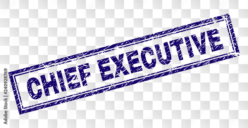 CHIEF EXECUTIVE stamp seal print with rubber print style and double ...