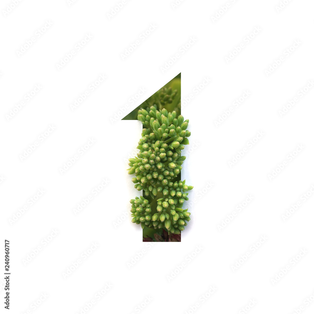 Cut out number 1 (one) with growing plant inside. Part of the alphabet ...
