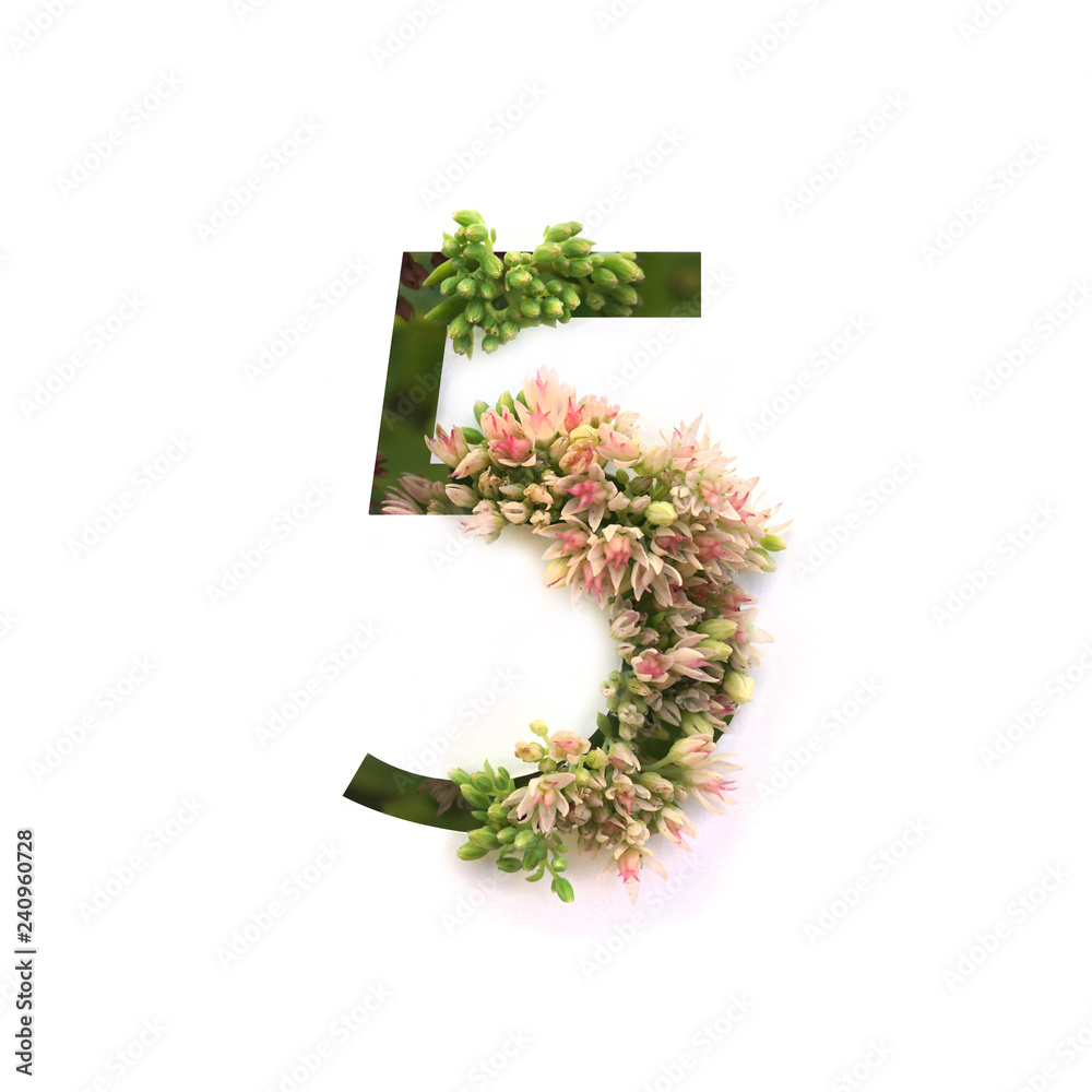 Cut out number 5 (five) with growing plant inside. Part of the alphabet ...