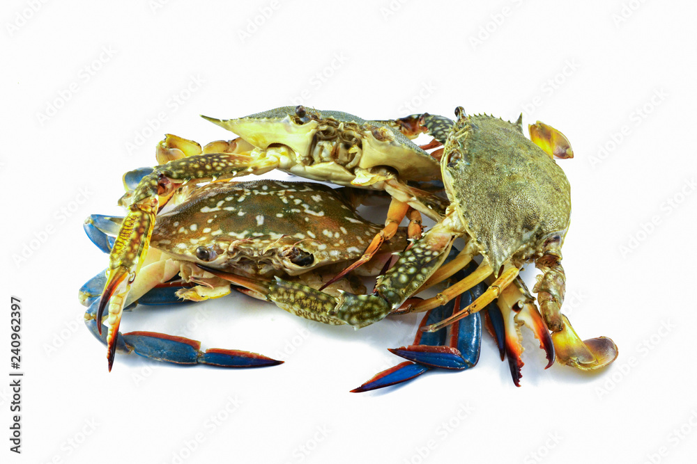 Uncooked Crab Meat