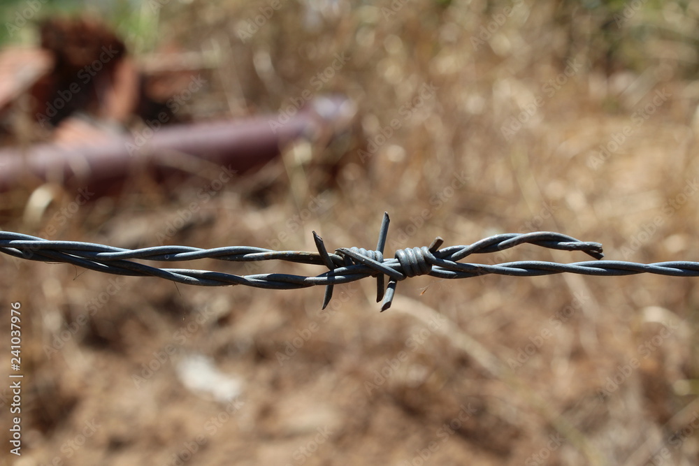 arame farpado Stock Photo | Adobe Stock