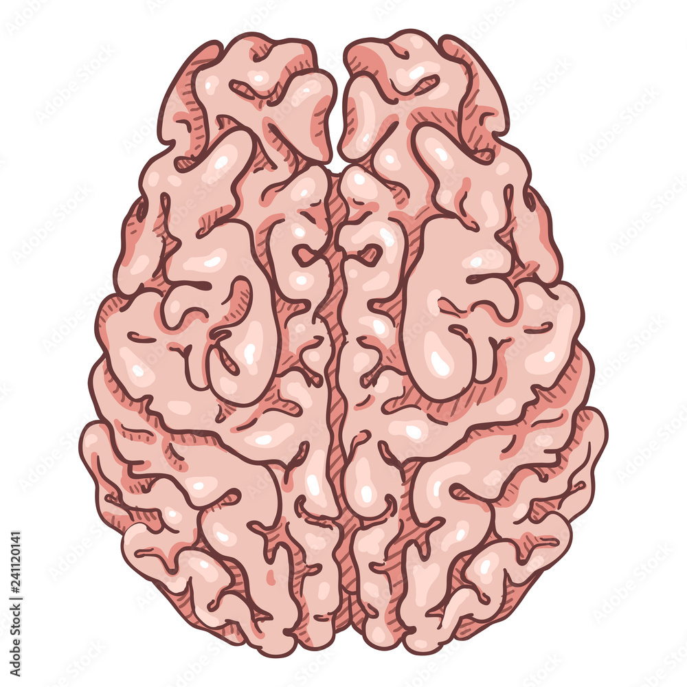 Pink Cartoon Brain