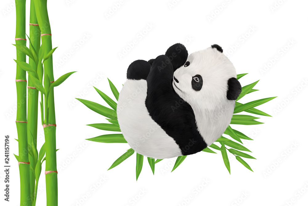 Panda baby and bamboo clip art on white background, template for your ...