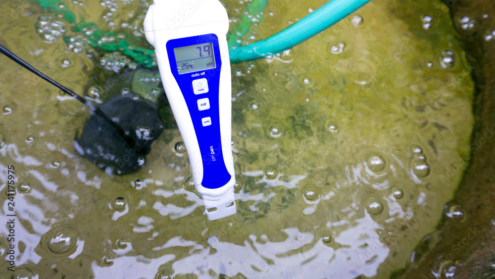 Digital pH meter Dipped in water in a mortar basin. hydroponic garden ...