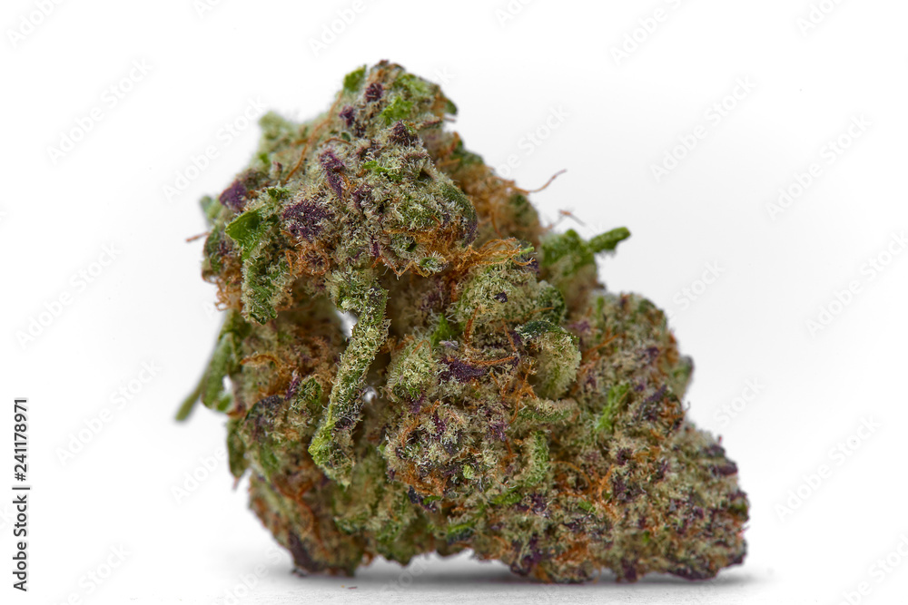 Close up of Kush OG prescription medical marijuana and recreational ...