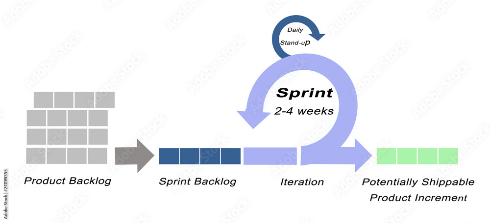 Components of SCRUM model. Stock Illustration | Adobe Stock