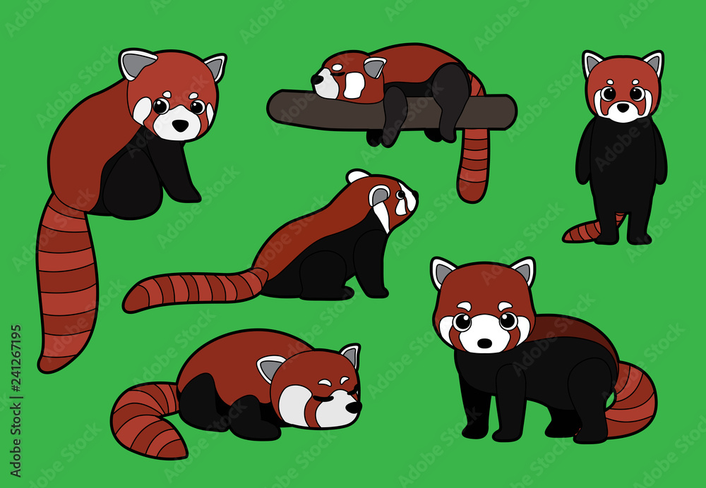 Red Panda Poses Stroke Cartoon Vector Illustration Stock Vector | Adobe ...