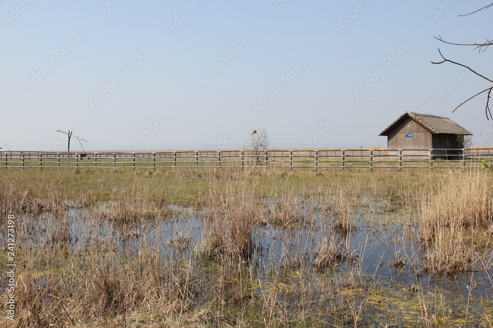 Neusiedler see Stock Photo | Adobe Stock