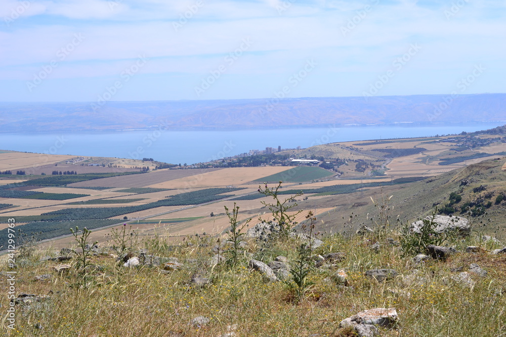 Jesus Trail - hiking through Galilee countryside in spring time, from ...