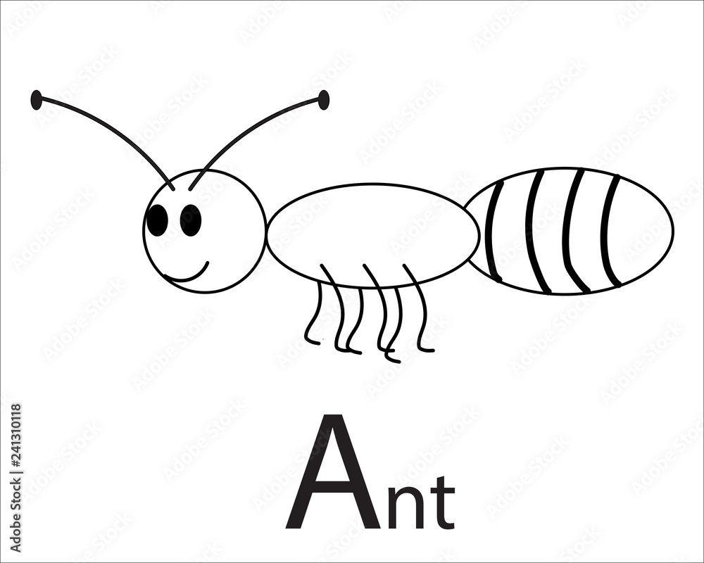 Animal-Ant Line Drawing Stock Vector | Adobe Stock